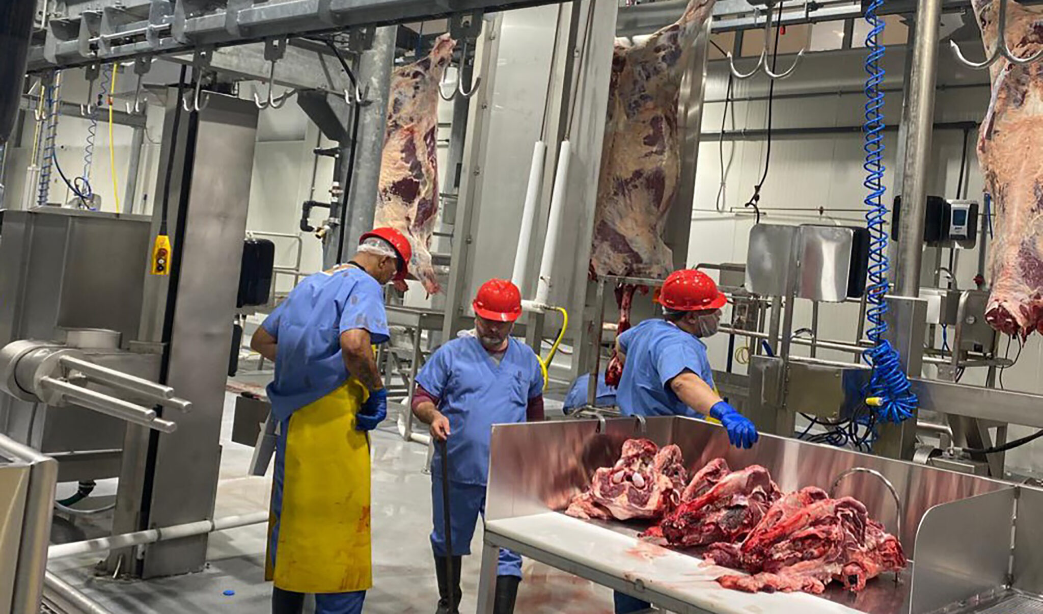 Contact – Creek Ranch Meat Processing